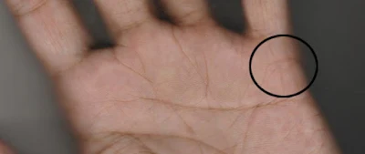 Y-Shaped Or V-Shaped Marriage Line ~ INDIAN PALMISTRY | PALM READING ...