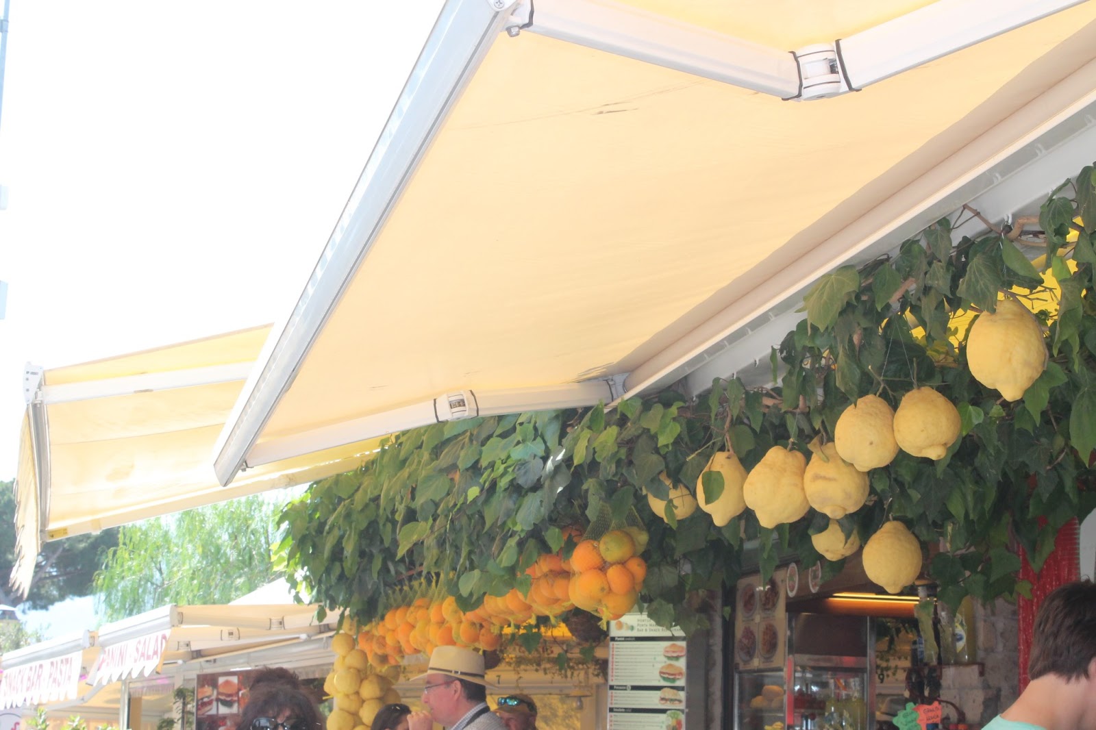 Aggie Horticulture Goes To Italy: When Italy gives you lemons, make ...