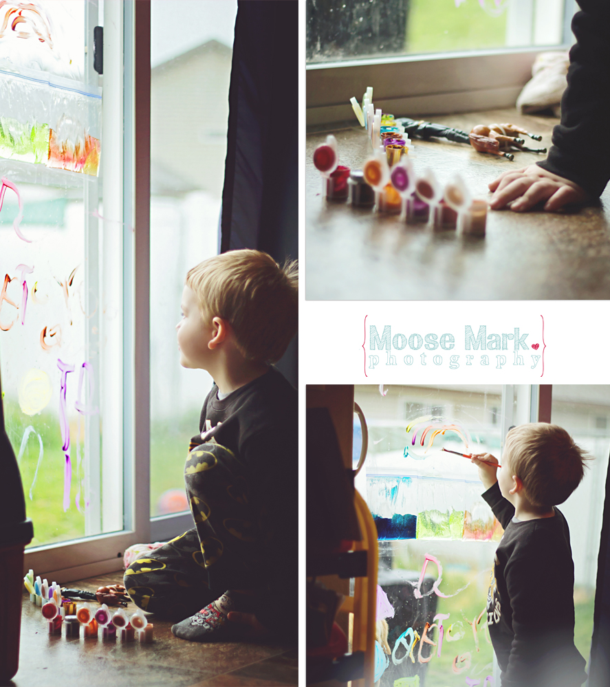 Moose Mark Photography