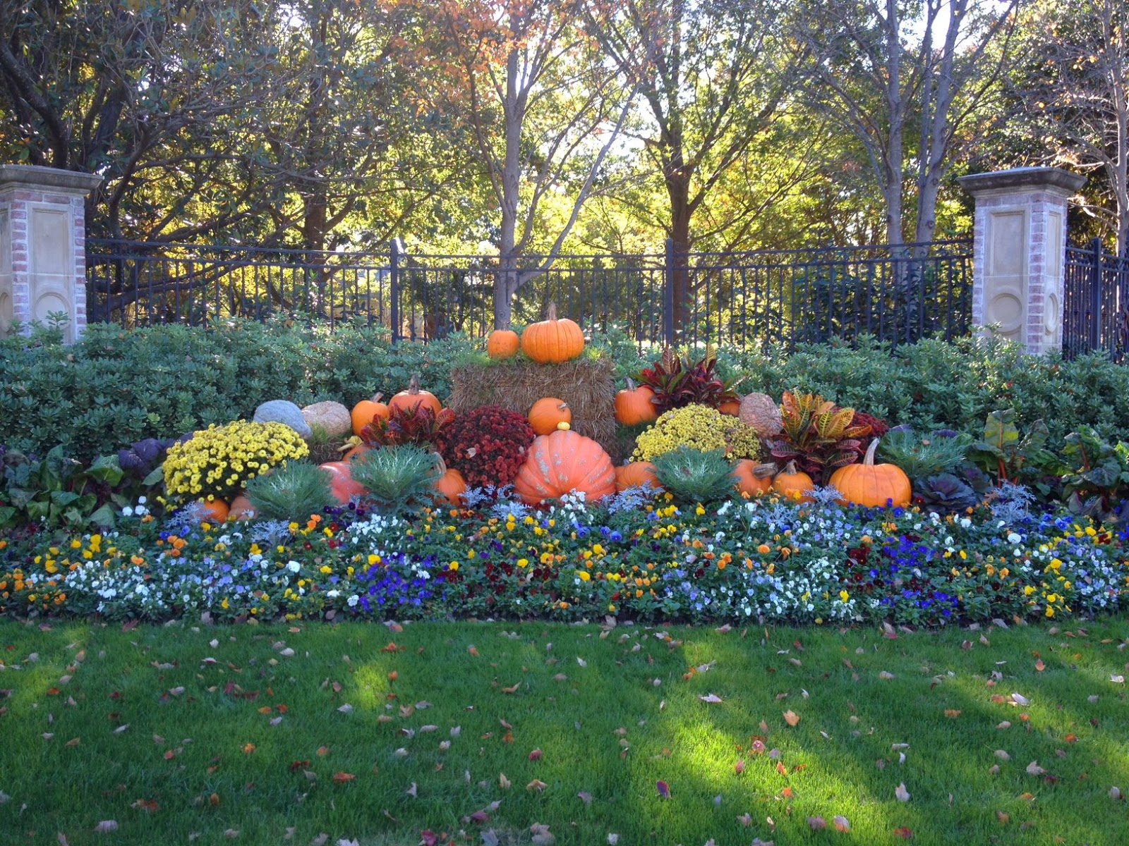 TEA IN TEXAS: Corn-U-Copia