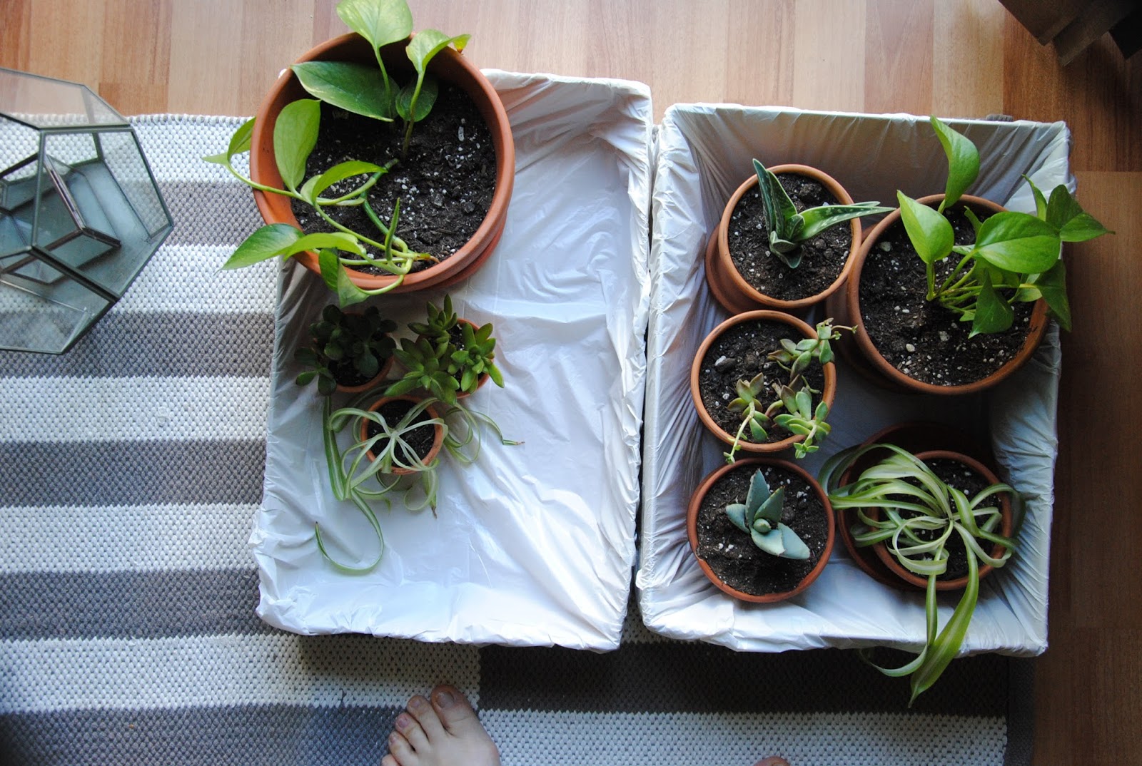 1/4" mark: Daily. patchwork. stitch