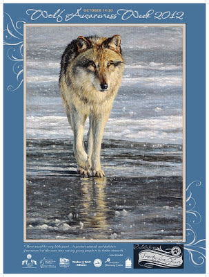 RETURN OF THE RED WOLF: October 14-20: Wolf Awareness Week and National ...