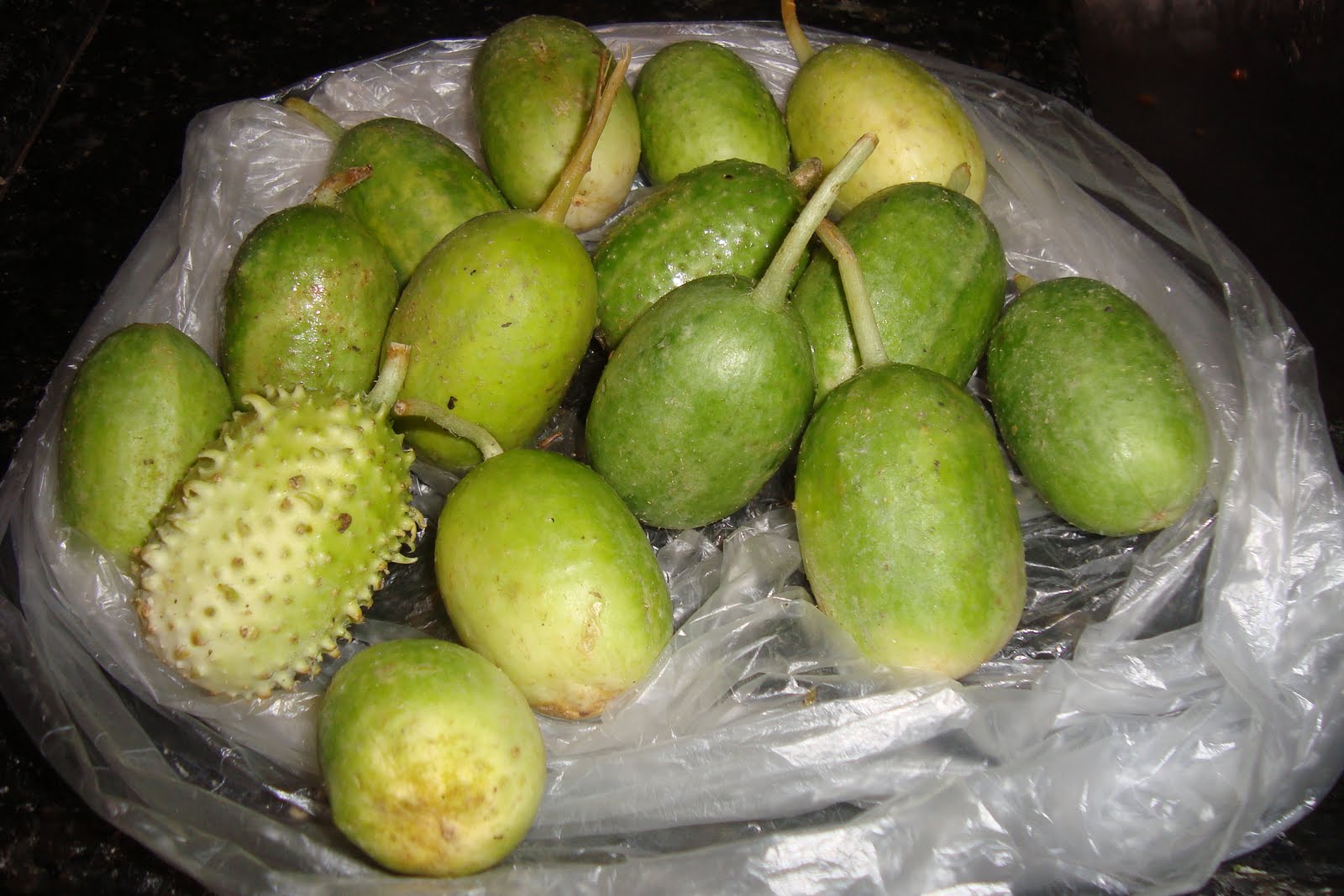 ECOS DA REDE - RECEITAS ECOLÓGICAS: SALGADAS: Maxixe - um Pepino diferente!