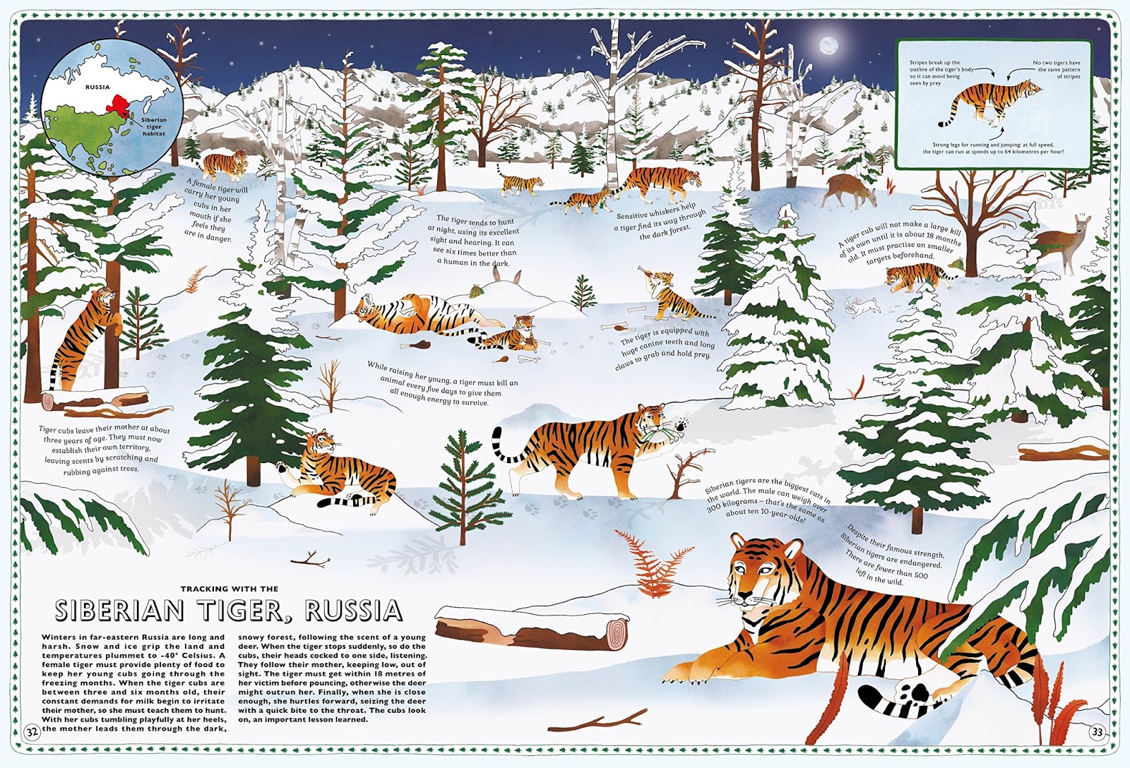 Atlas of Animal Adventures by Rachel Williams, Emily Hawkins and Lucy ...