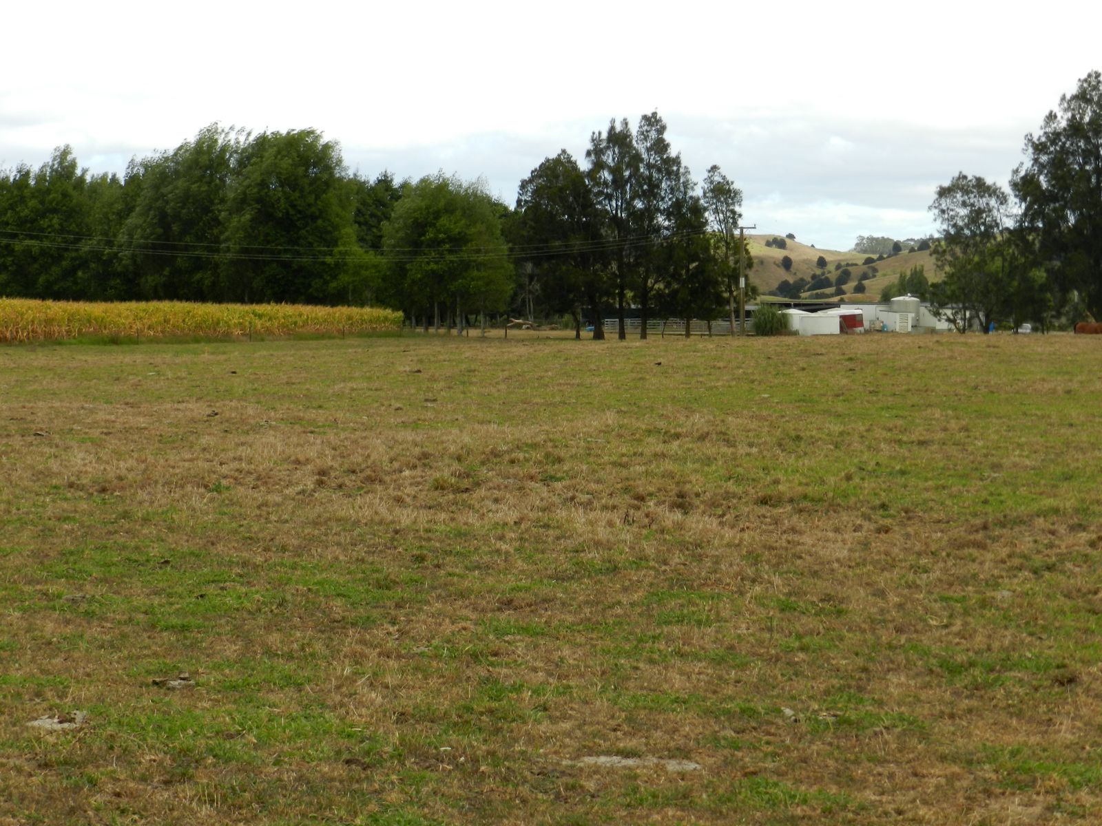 The Paddock: It's happening!