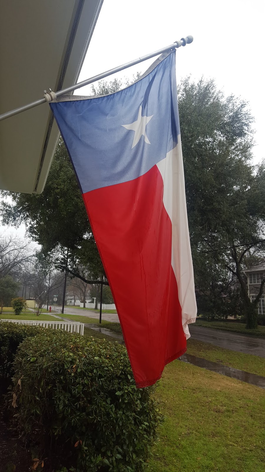 Lone Star Parson: Guns & Flags