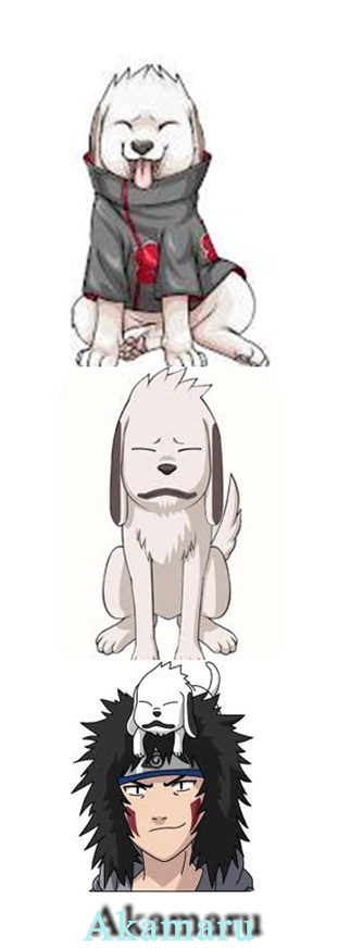 Akamaru "Categoria" [Personalidade] - Animê/Mangá Naruto: Akamaru ...