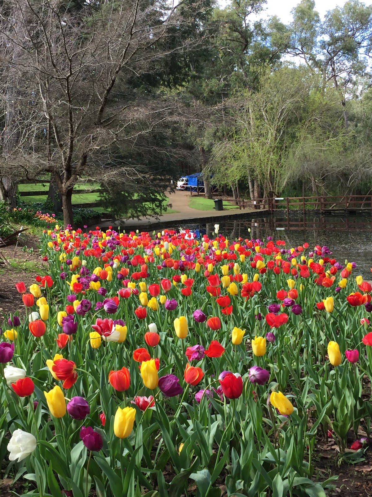 Araluen Botanic Park, Perth