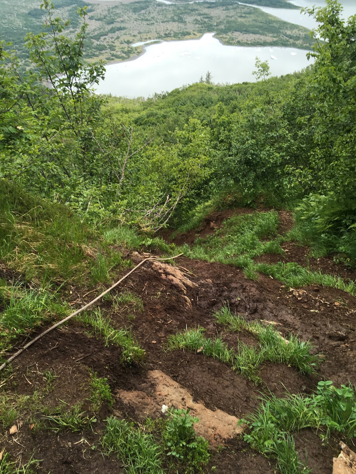 Life in Alaska — A View From Homer: Alpine Ridge Trail