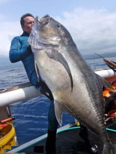 International Fishing News: VANUATU: giant trevally 130+ lb