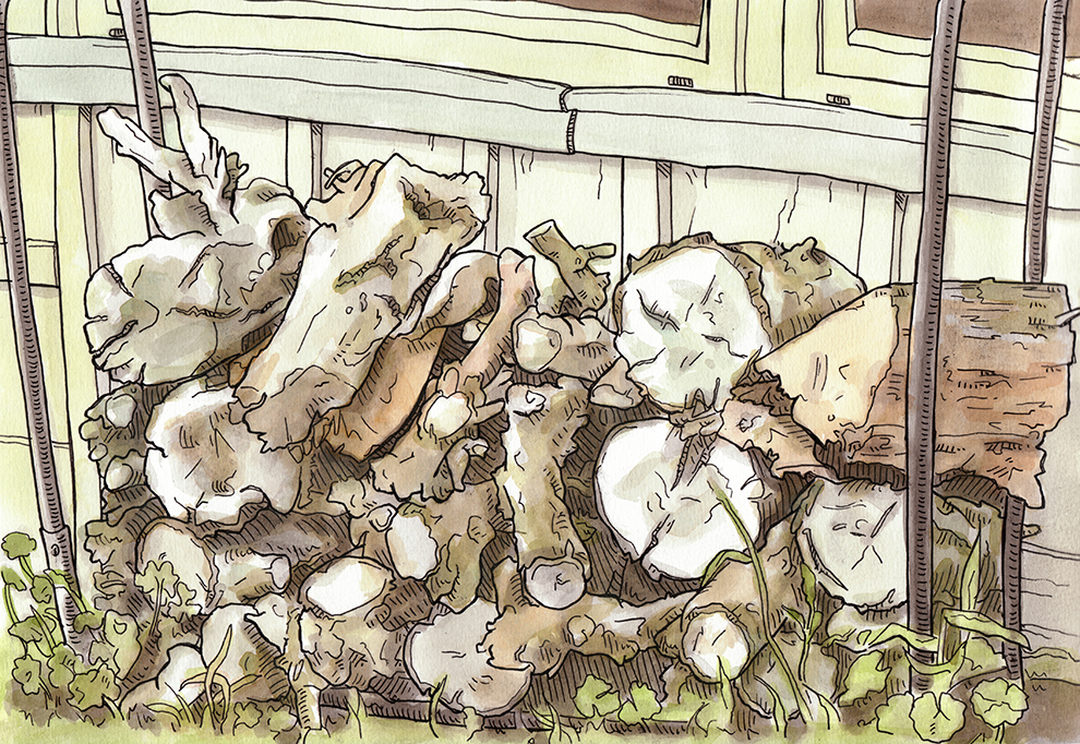 Urban Sketchers Seattle: Moses Coulee Nature Conservancy