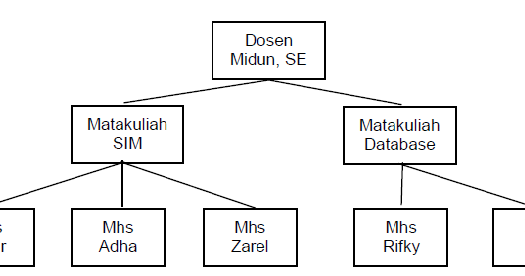 Nurul Maghfiroh: Perbedaaan model data relasional, jaringan dan hierarkis