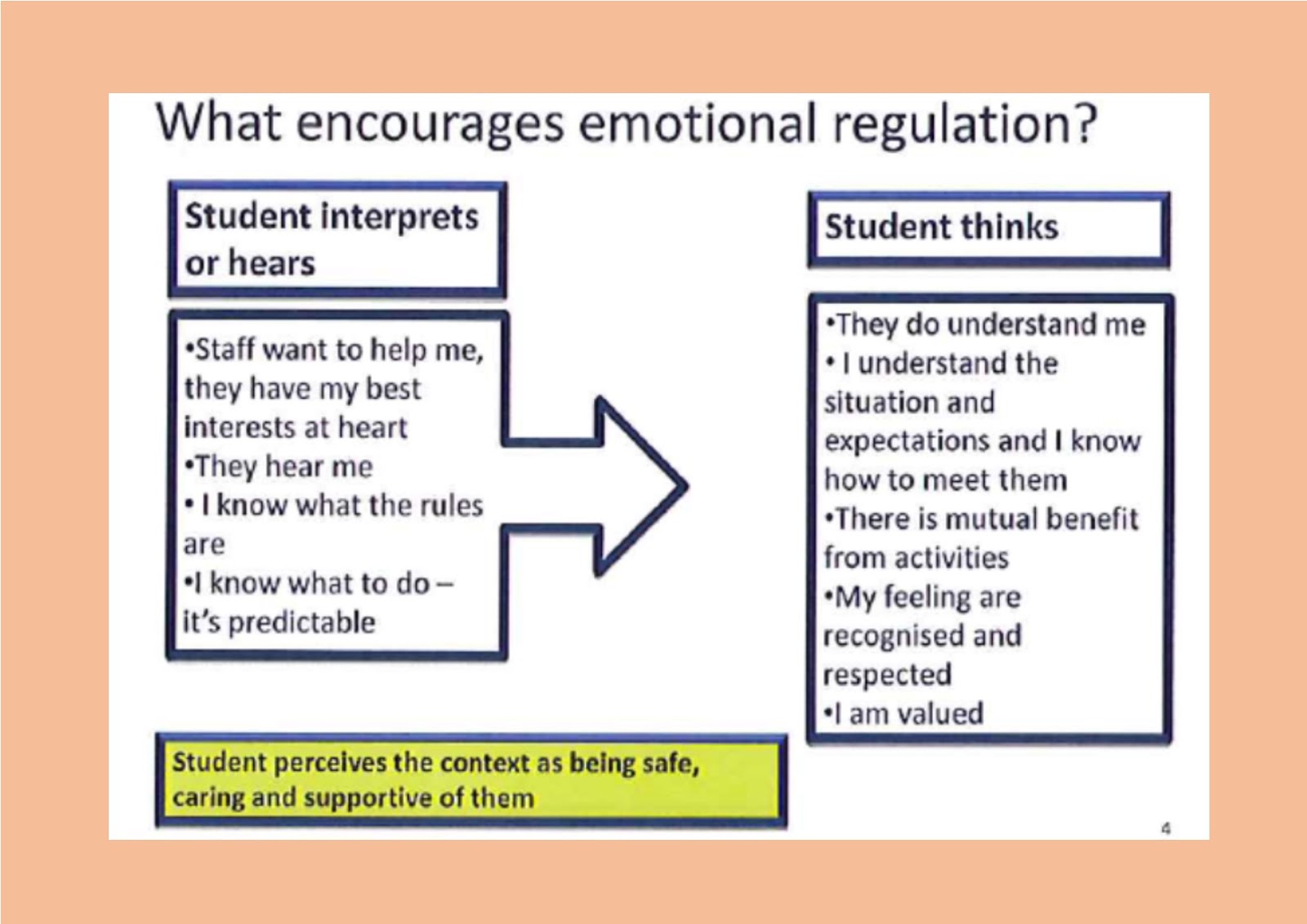Understanding Behaviour - Responding Safely 26.1.18