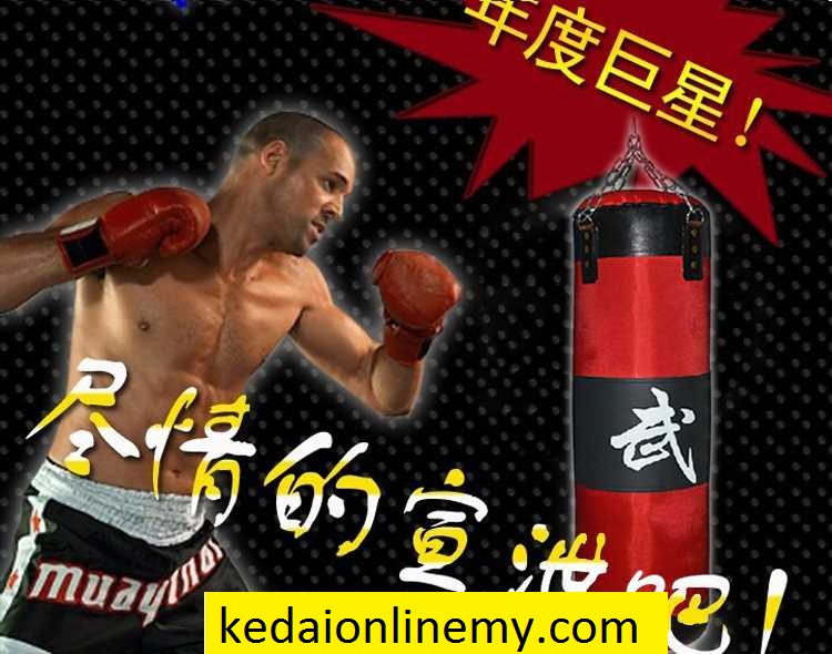 Beg untuk latihan menumbuk menyepak - kedai online