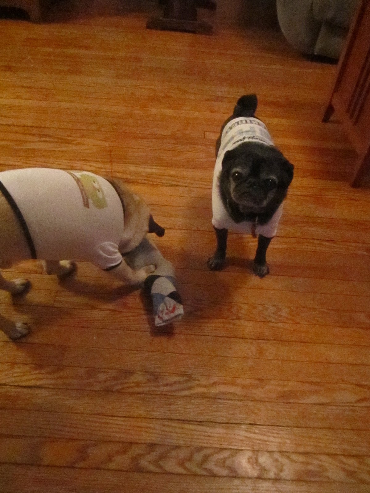 Urban Hounds: DIY-Two Minute Toy