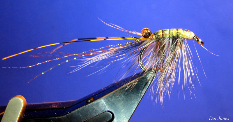Flies step by step: Killer shrimp, step by step.