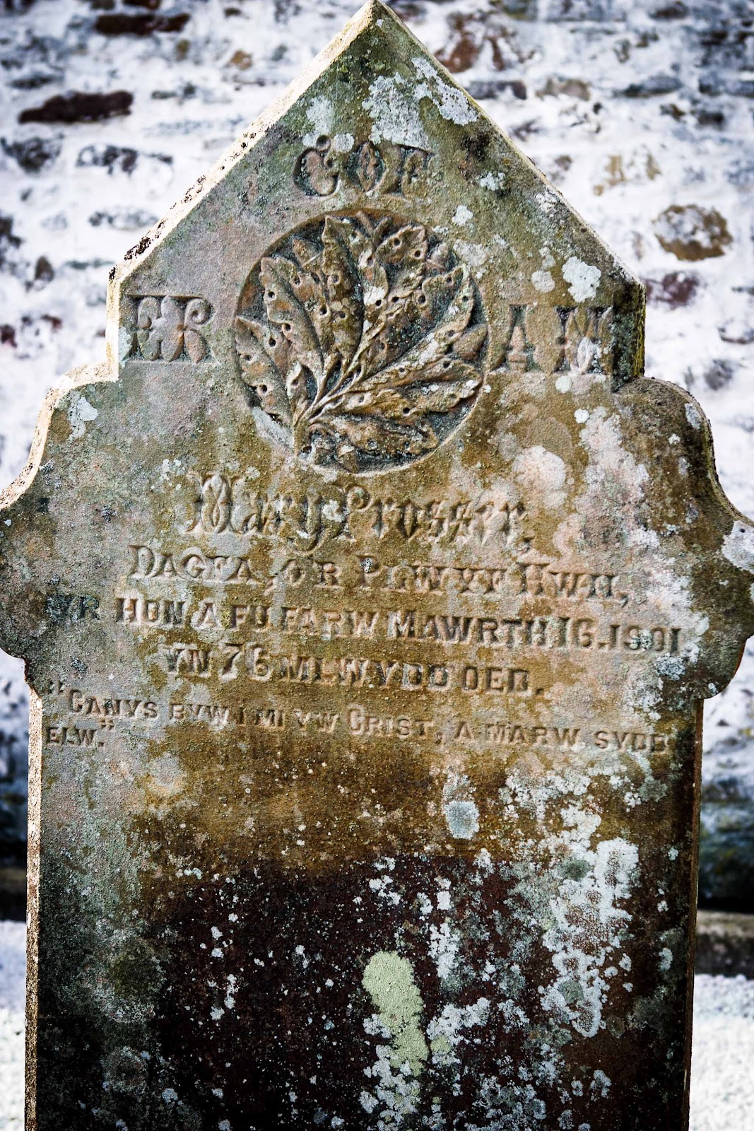 The Prices of Pantyffordd