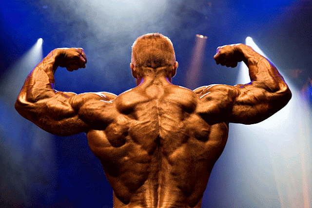 Kim Kold Danish Actor And Former Professional Bodybuilder.