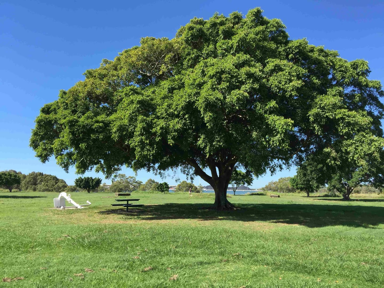 Are We There Yet?: Discover Brisbane - Pinkenba