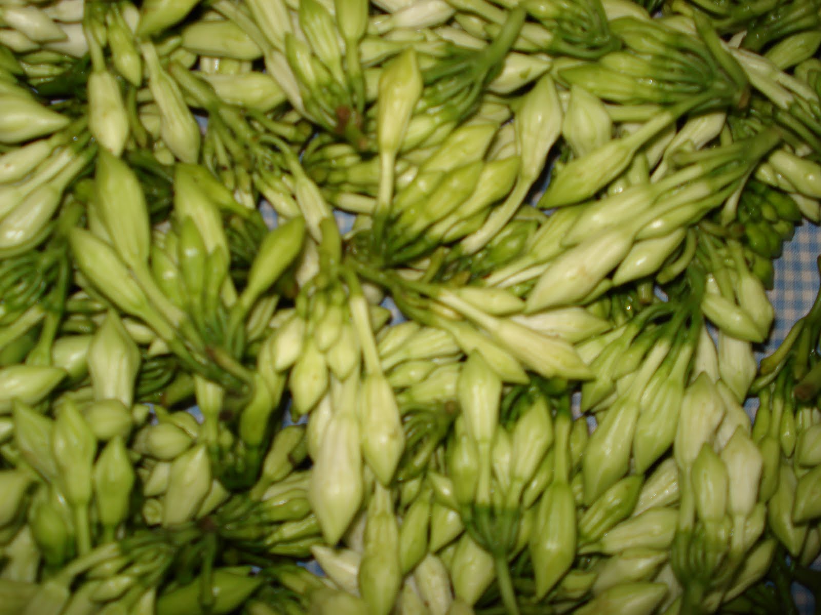 somosxinkas.com: GASTRONOMÍA