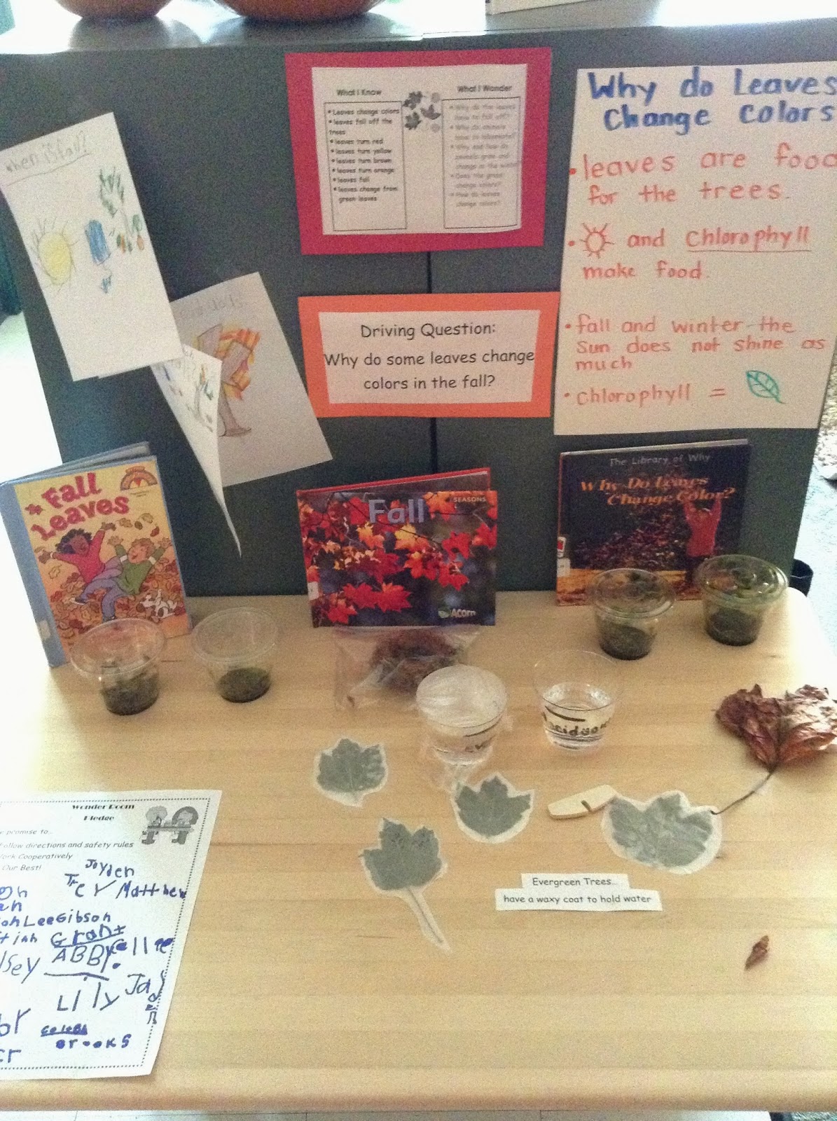 Project Kindergarten: Fall Leaves Unit