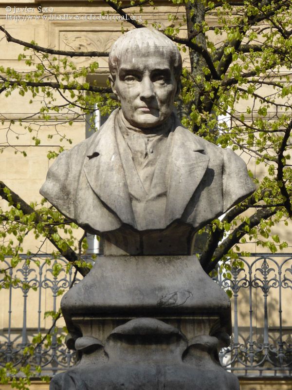 Ancile: EL CULTO A LA MUJER EN AUGUSTO COMTE: PRÊTESSE SPONTANÉE DE L ...