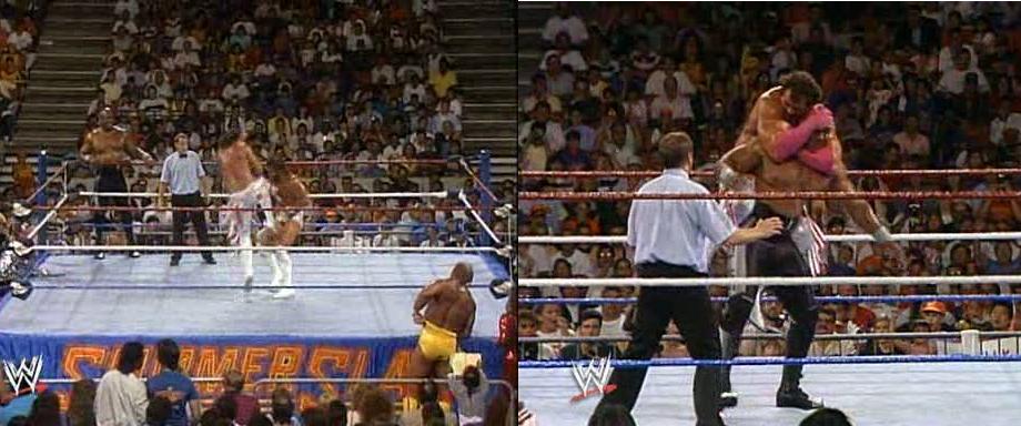 Wrestlemania para siempre: SummerSlam (1989)