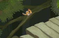 Animal Jam Adventures: Sarepia Forest Journey Book!