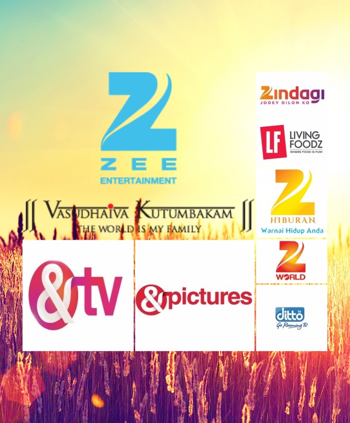 BHAVIKK SHAH's BLOG: ZEE ENTERTAINMENT ENTERPRISES LTD: BETTER PLACED ...
