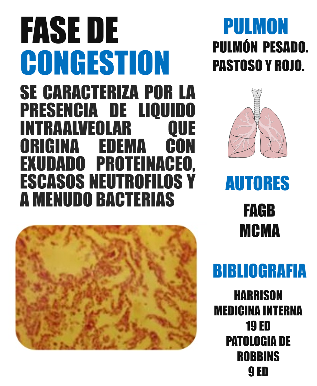 FASE DE CONGESTION NEUMONIA