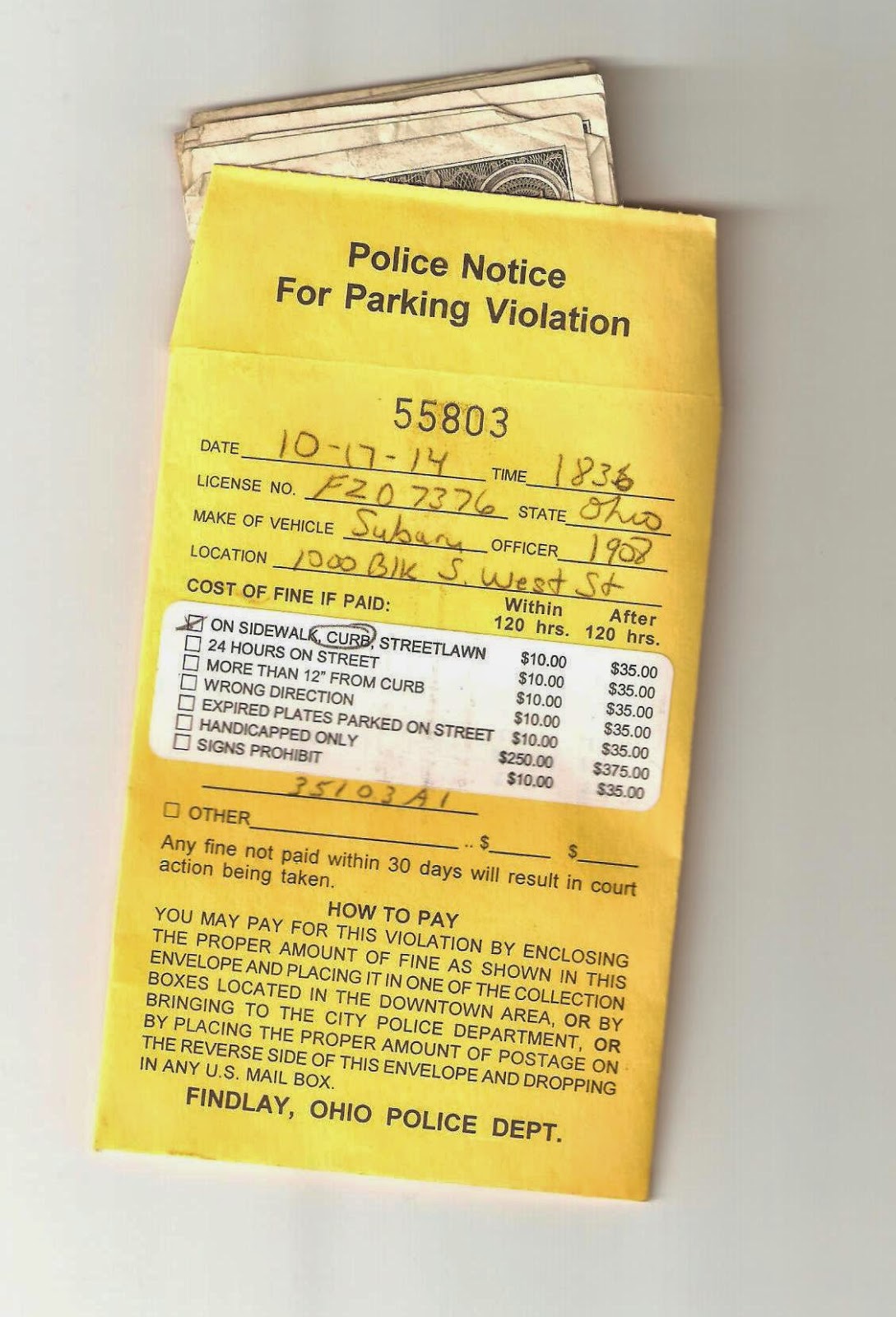 Julie's Musings: I Don't Like Parking Tickets, Either