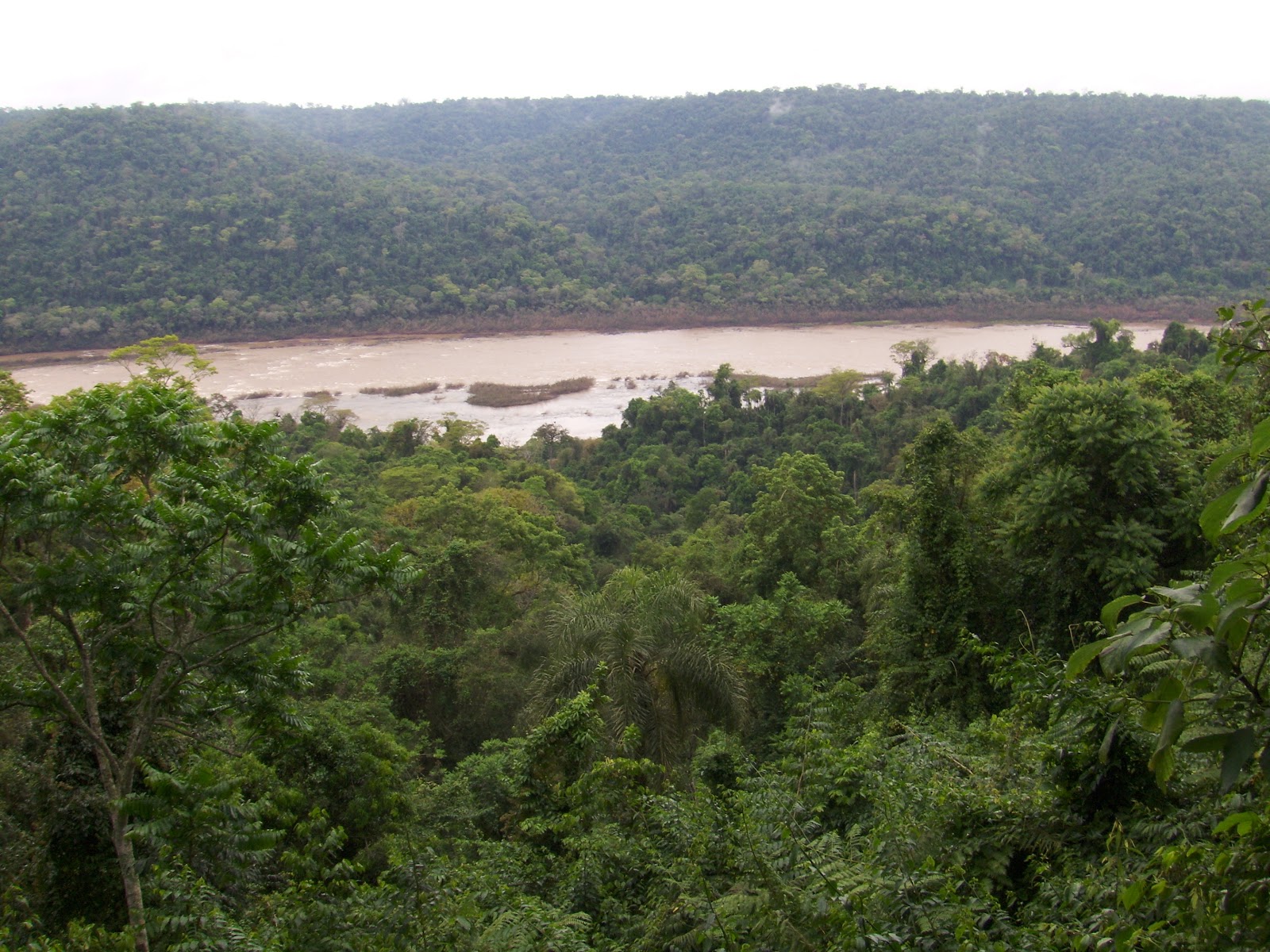 NUESTRAS PERCEPCIONES: SELVA MISIONERA - MISIONES