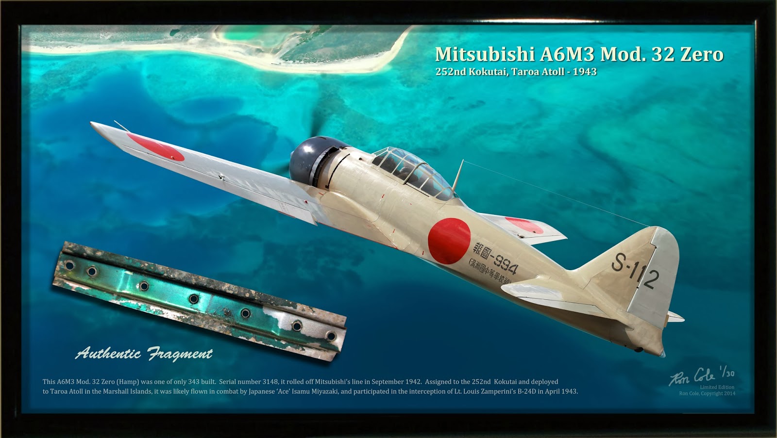 Aviation Art of Ron Cole & Cole's Aircraft: The Story of a Zero ...