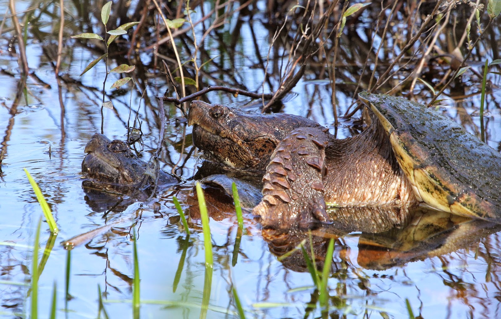 Looking Out from Central Massachusetts: Highlights from the Second Half ...