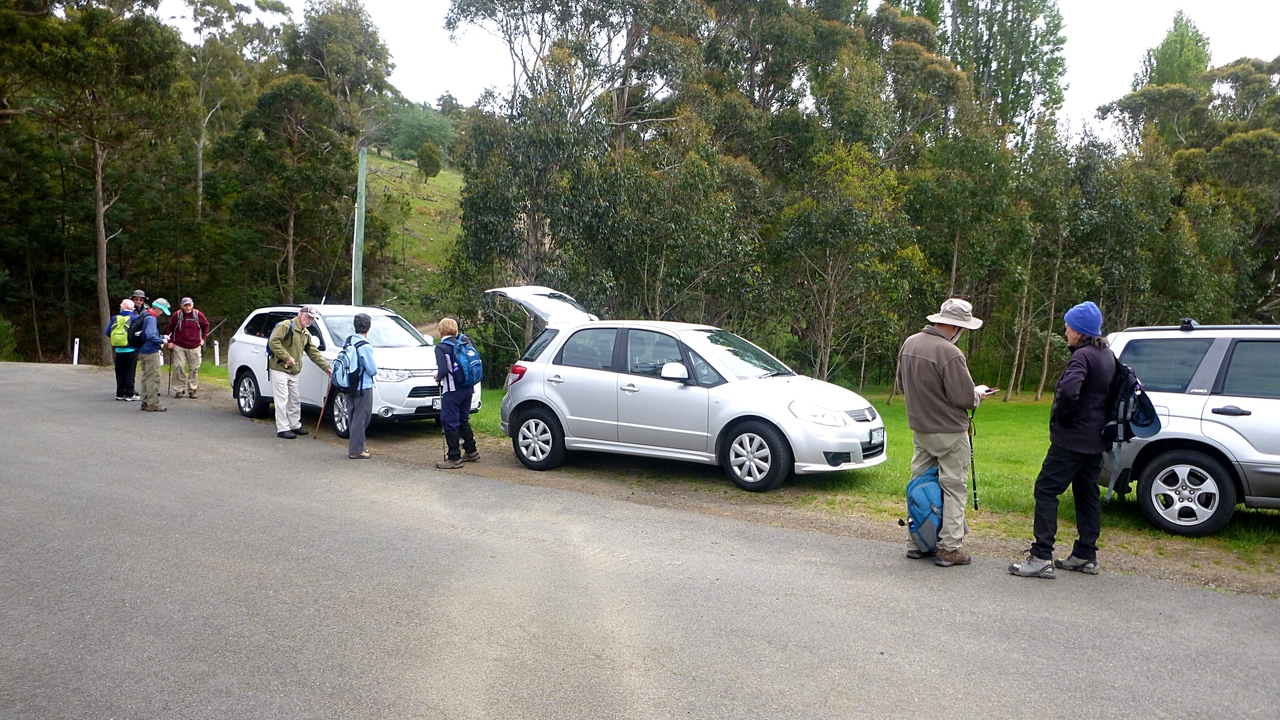 Ramblings: Nierinna Creek Tramway Hill Margate Rivulet 2015
