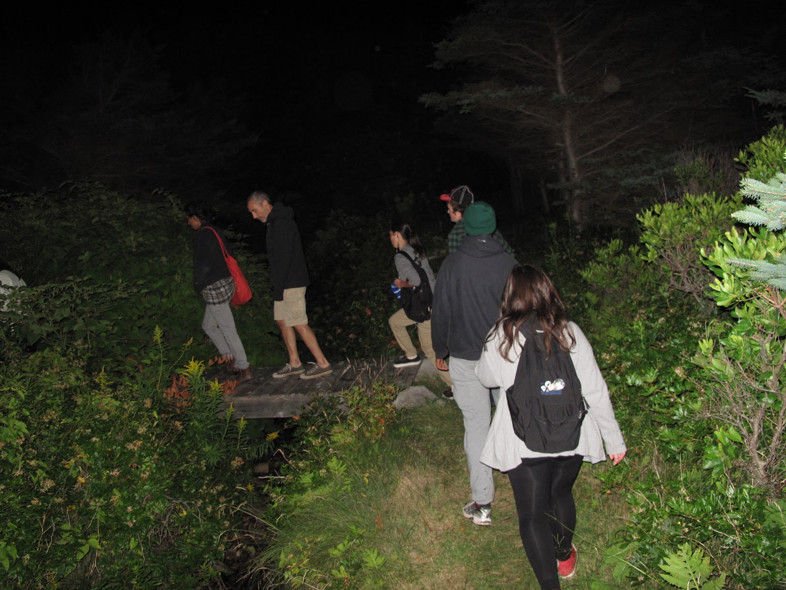 The Torontonians: Nightwalks with Teenagers