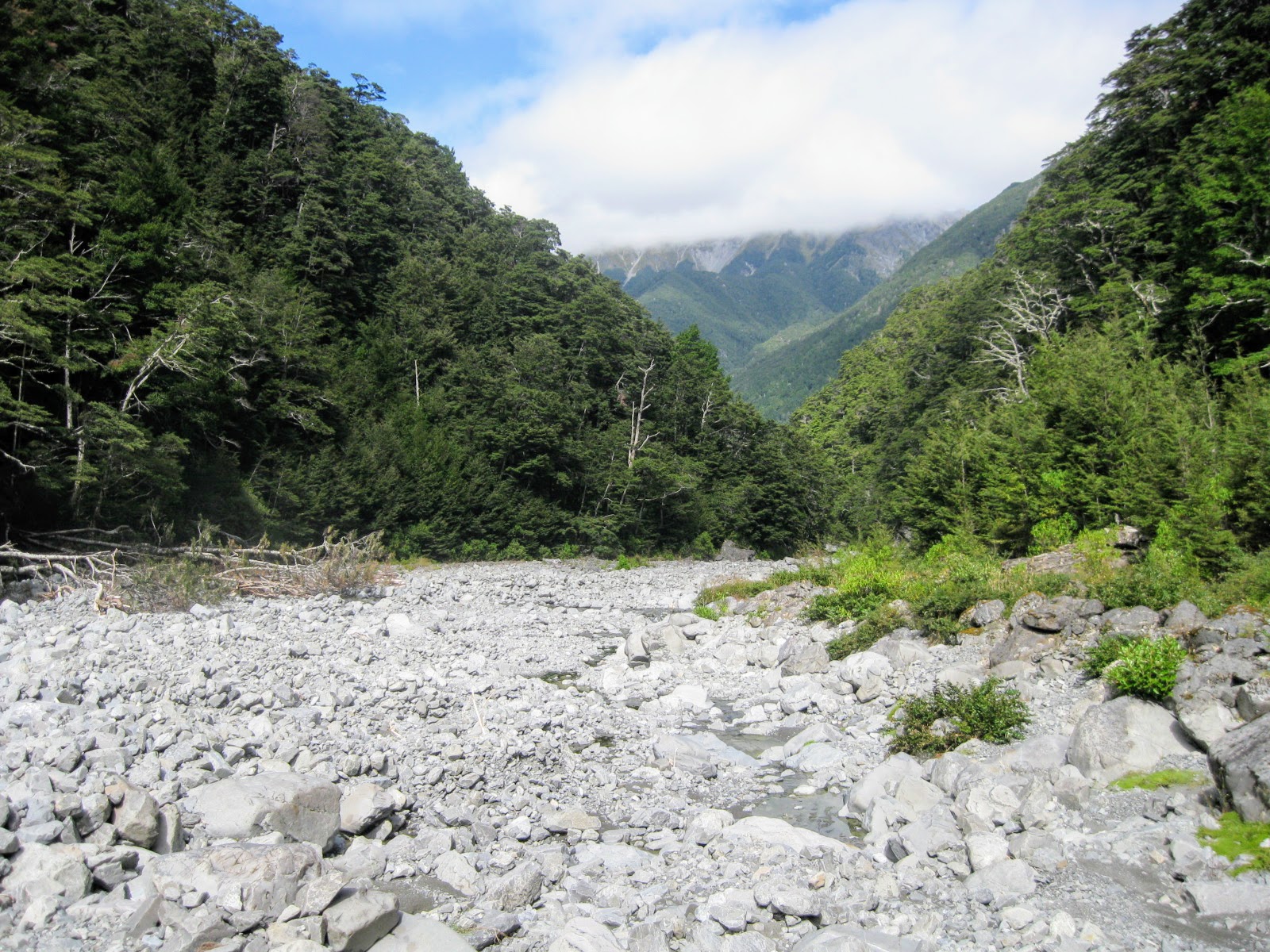 Tramping in the New Zealand backcountry: NZ Bush Adventures: East Hawdon