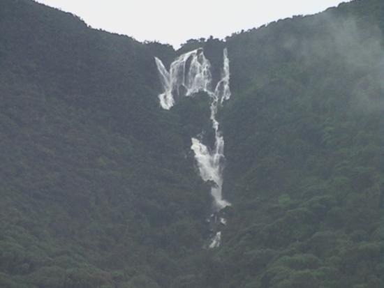 GREEN HILLS TEA: VISIT BEAUTYFUL KALAWANA