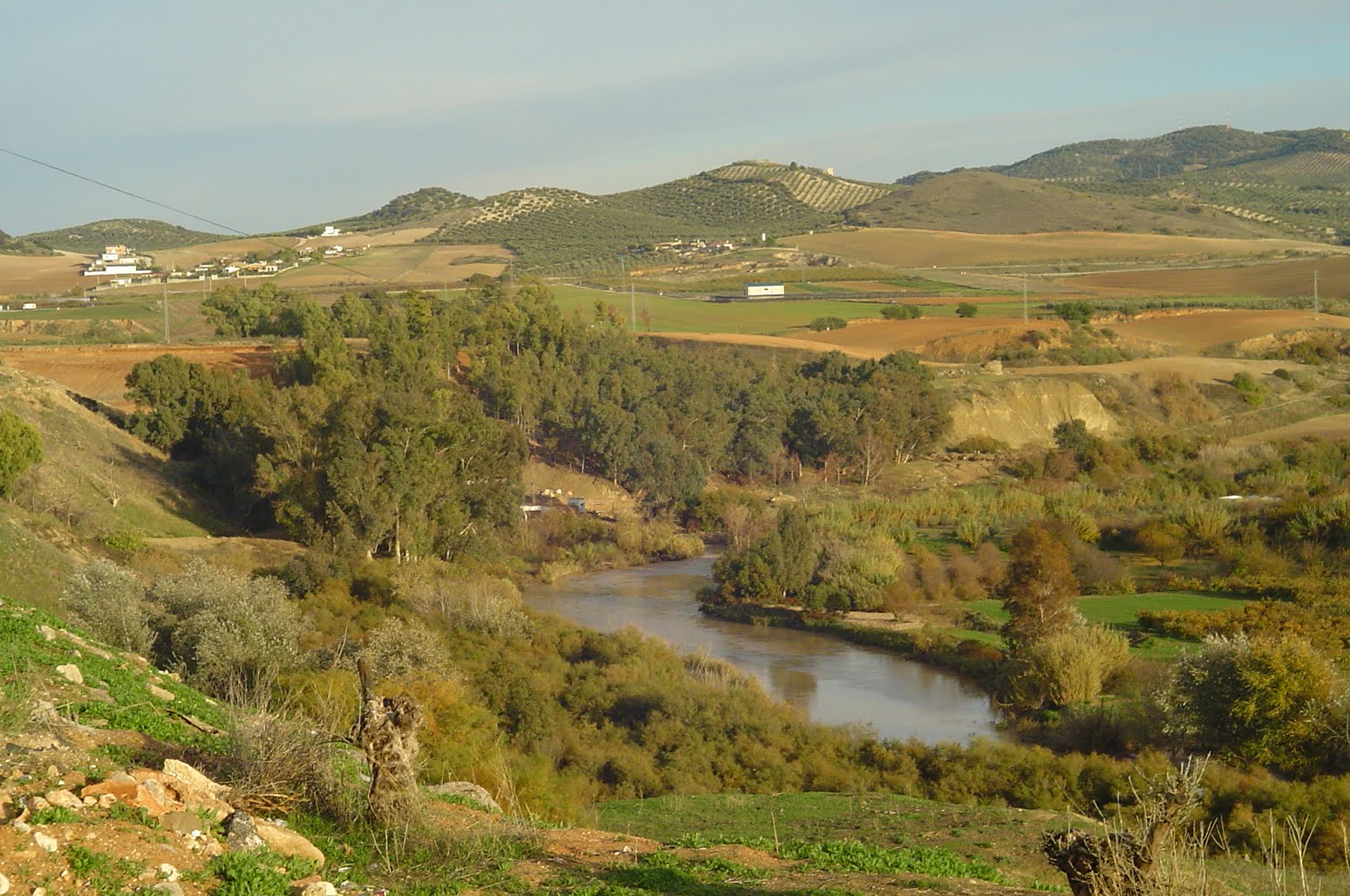 Universo del Genil: Fotografías del blog