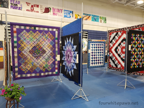 fourwhitepaws: Northern Lights Quilt Guild - Quilt Show