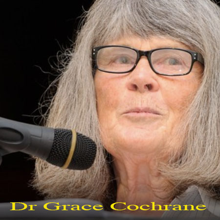 New South Wales Museums And Art Galleries Inquiry