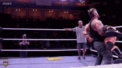 He is Out!: Iestyn Rees