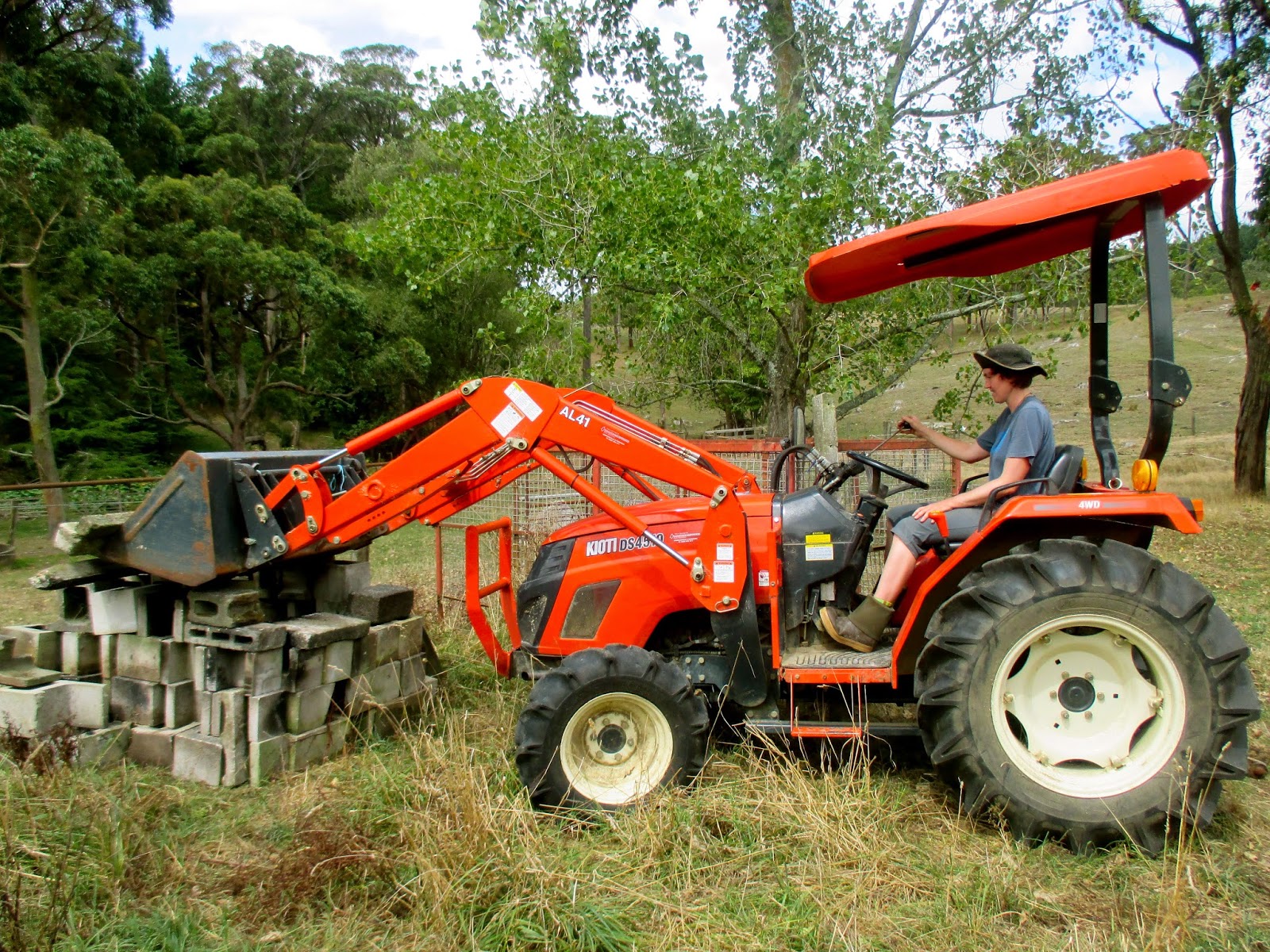 Mercier Kiwi Adventures: Visiting Patty on the Farm: Part 1