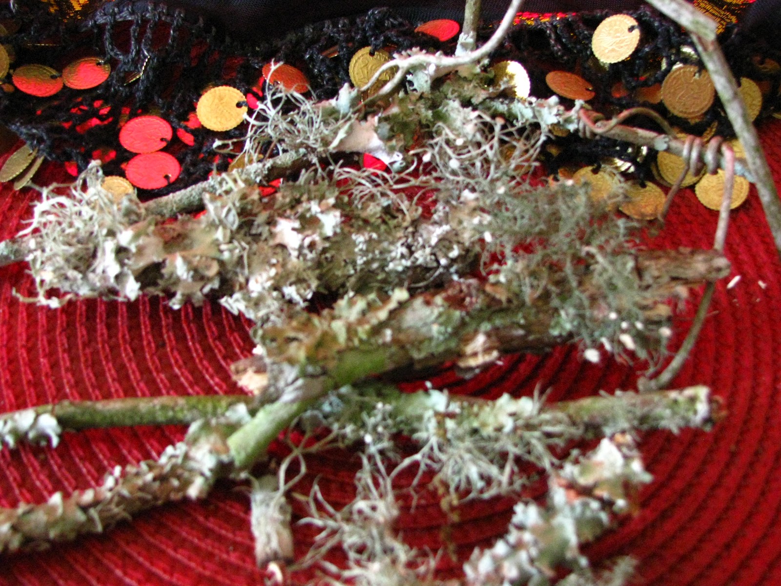 Hallows Outpost: Lichen Tea, And Other Tea Stuff!