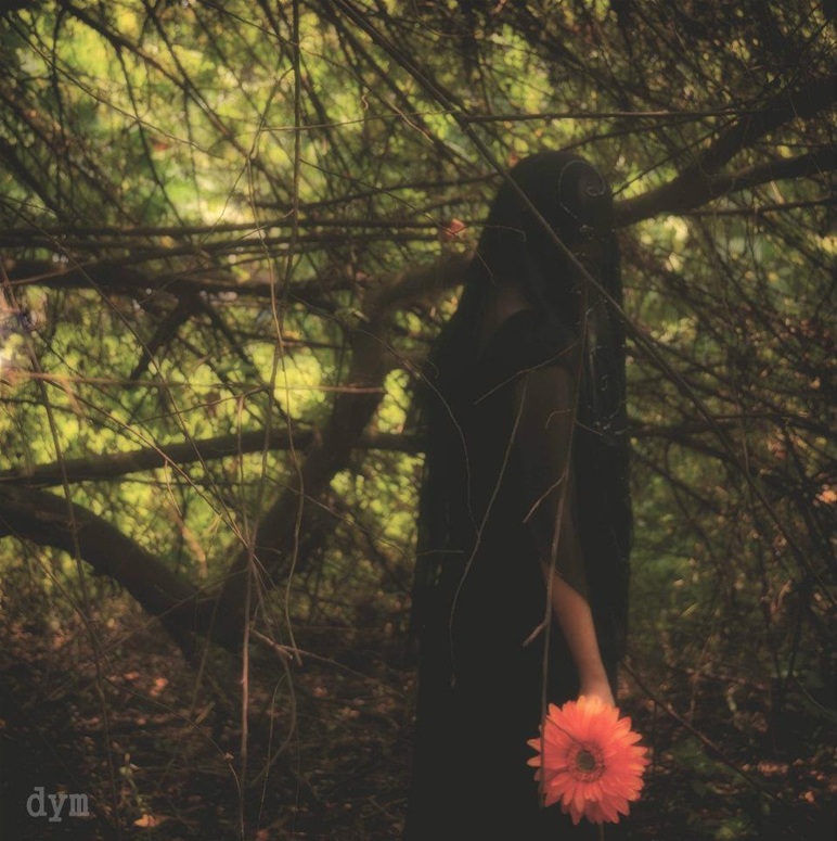 creative photography: Expressionism Photography collection