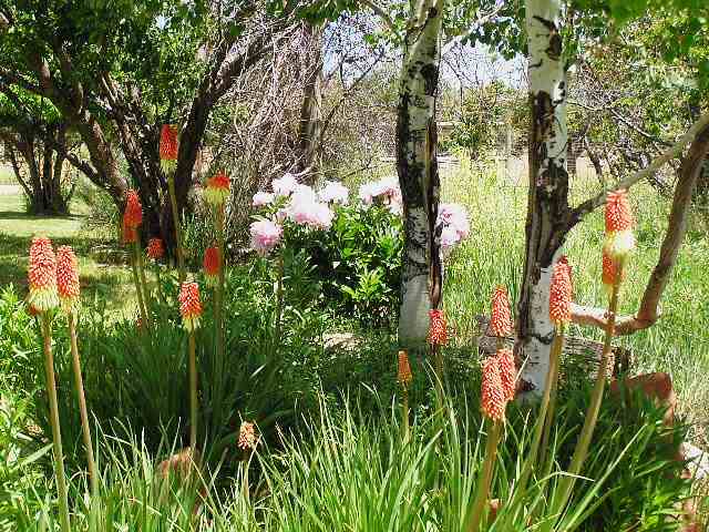 SNIPPETS & SNAPSHOTS