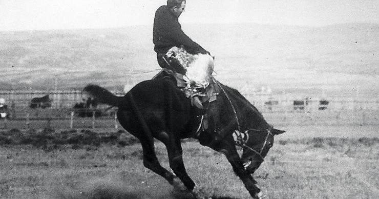 Chris Navarro Studio Blog: WYOMING COWBOY