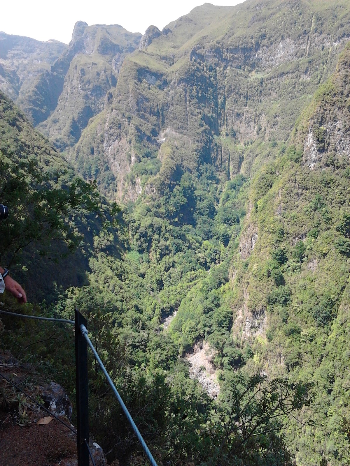 BASAJAUN: BASAJAUN MADEIRA 1