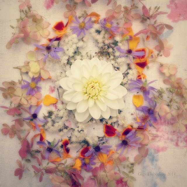 The Magpie's Fancy: Fall Botanicals: Tips for Arranging Floral Patterns