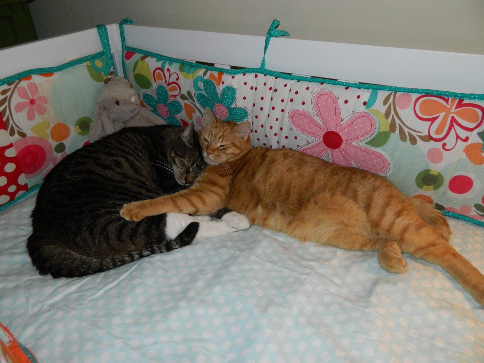 Polka-Dotty Place: Cat Crib